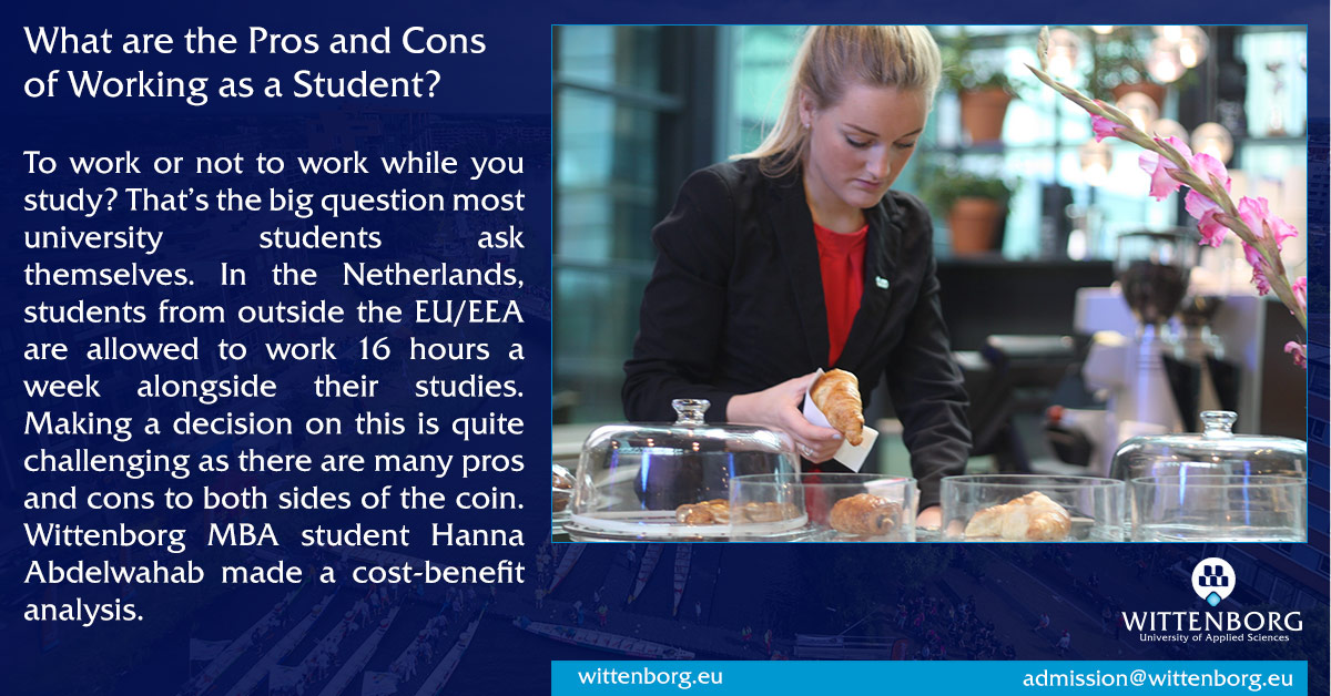 To Work or Not to Work During your Studies?